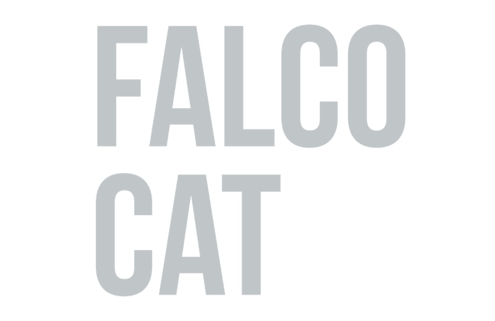 Canned Falco cat | SOKOL FALCO